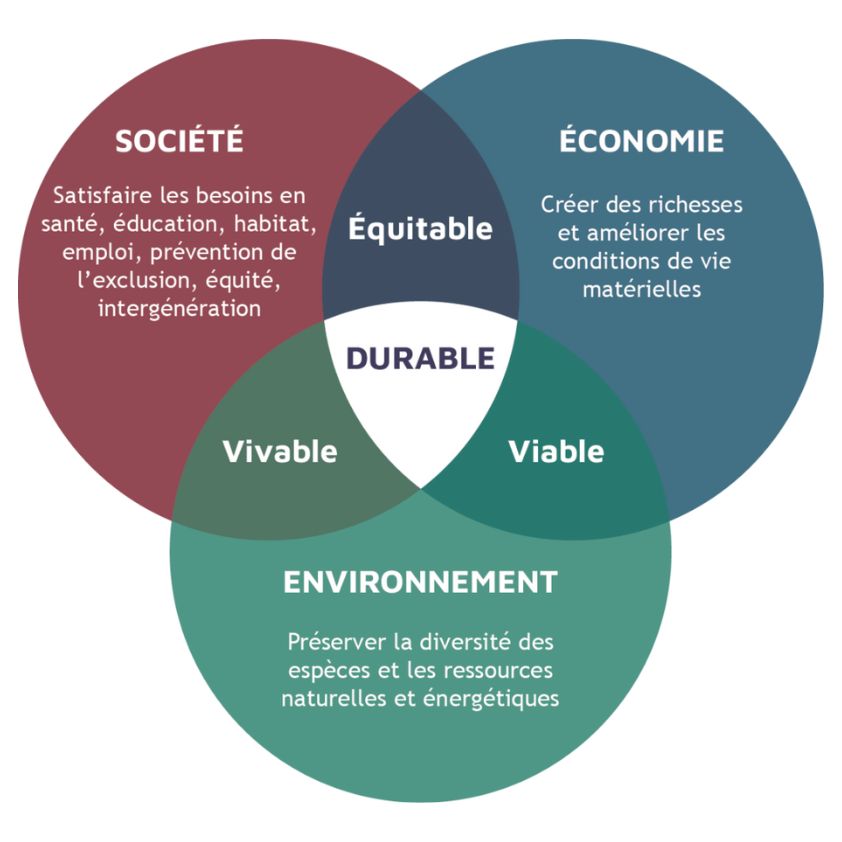 Quels indicateurs RSE à retenir ? - Capiconsult